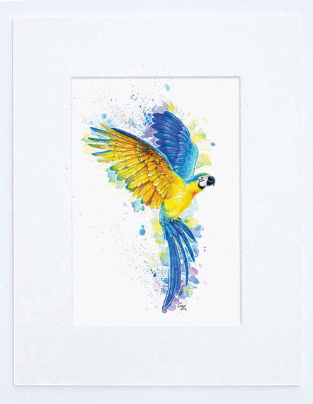 Tropical Macaw Bird Art Print - Luxurious Fine Art Prints – Earthdrawn ...